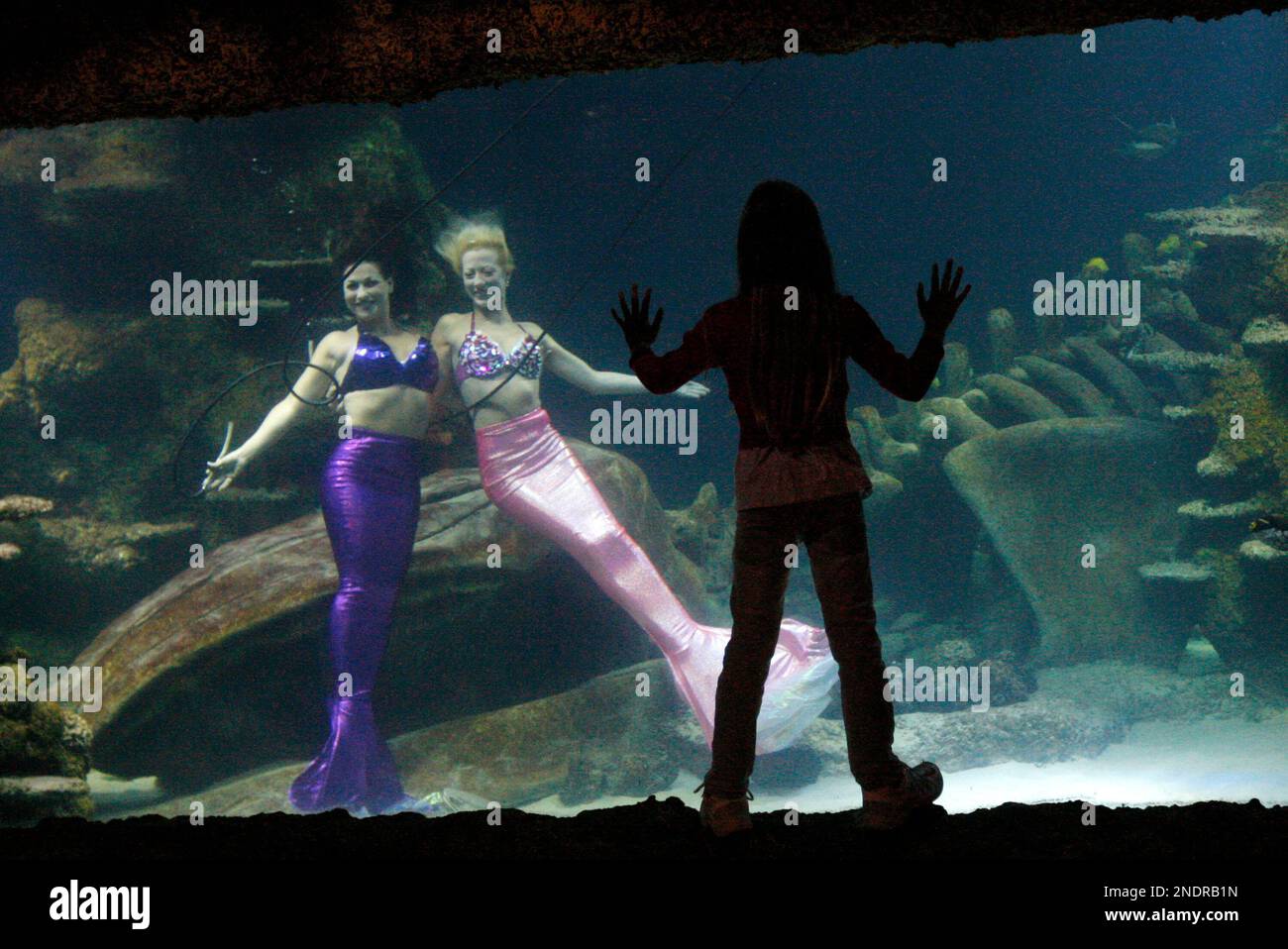 Eight year old Lauren Shore, right, watches Stayce McConnell, center ...