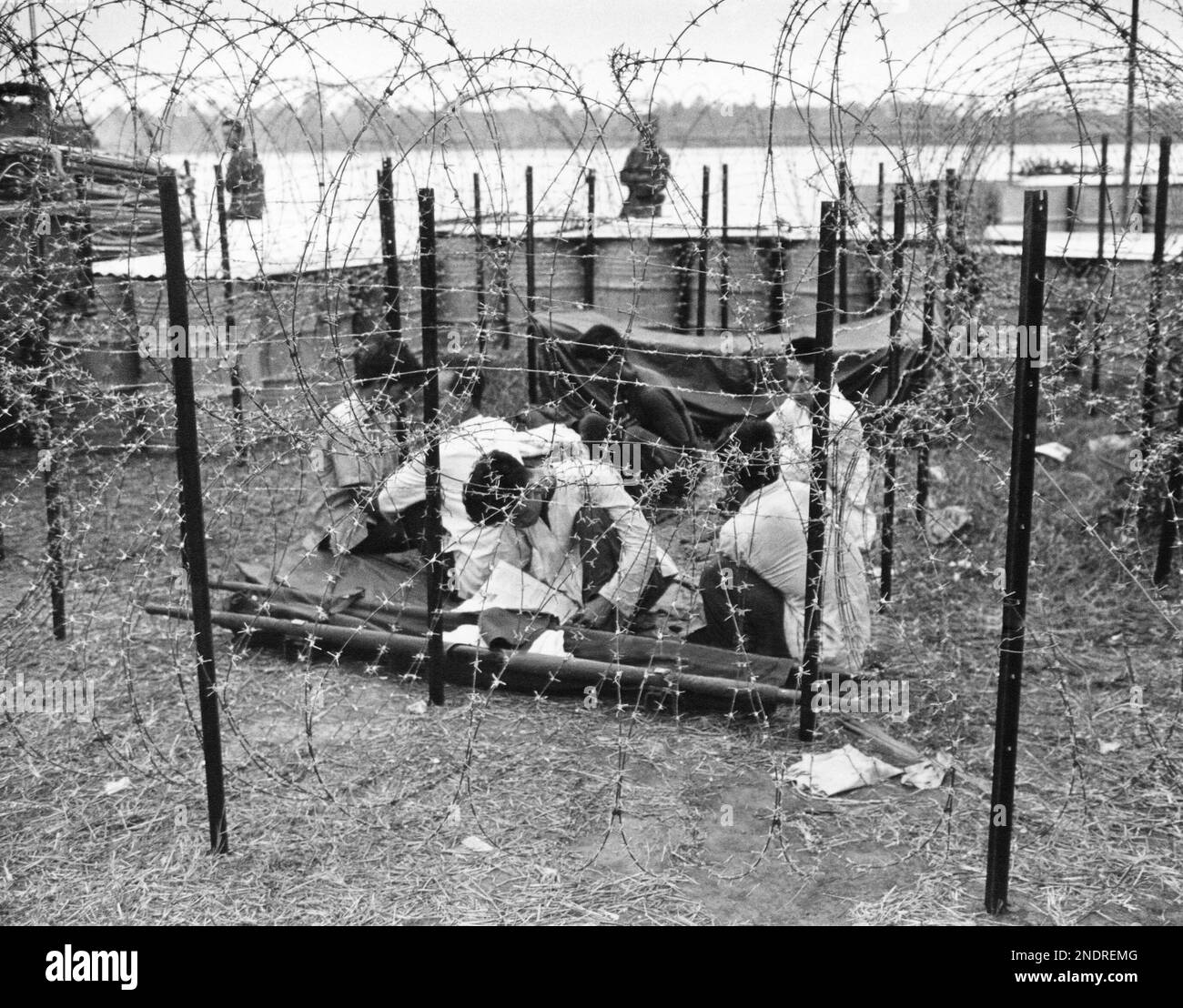 Newly captured Viet Cong guerillas and prisoners who tried to escape ...