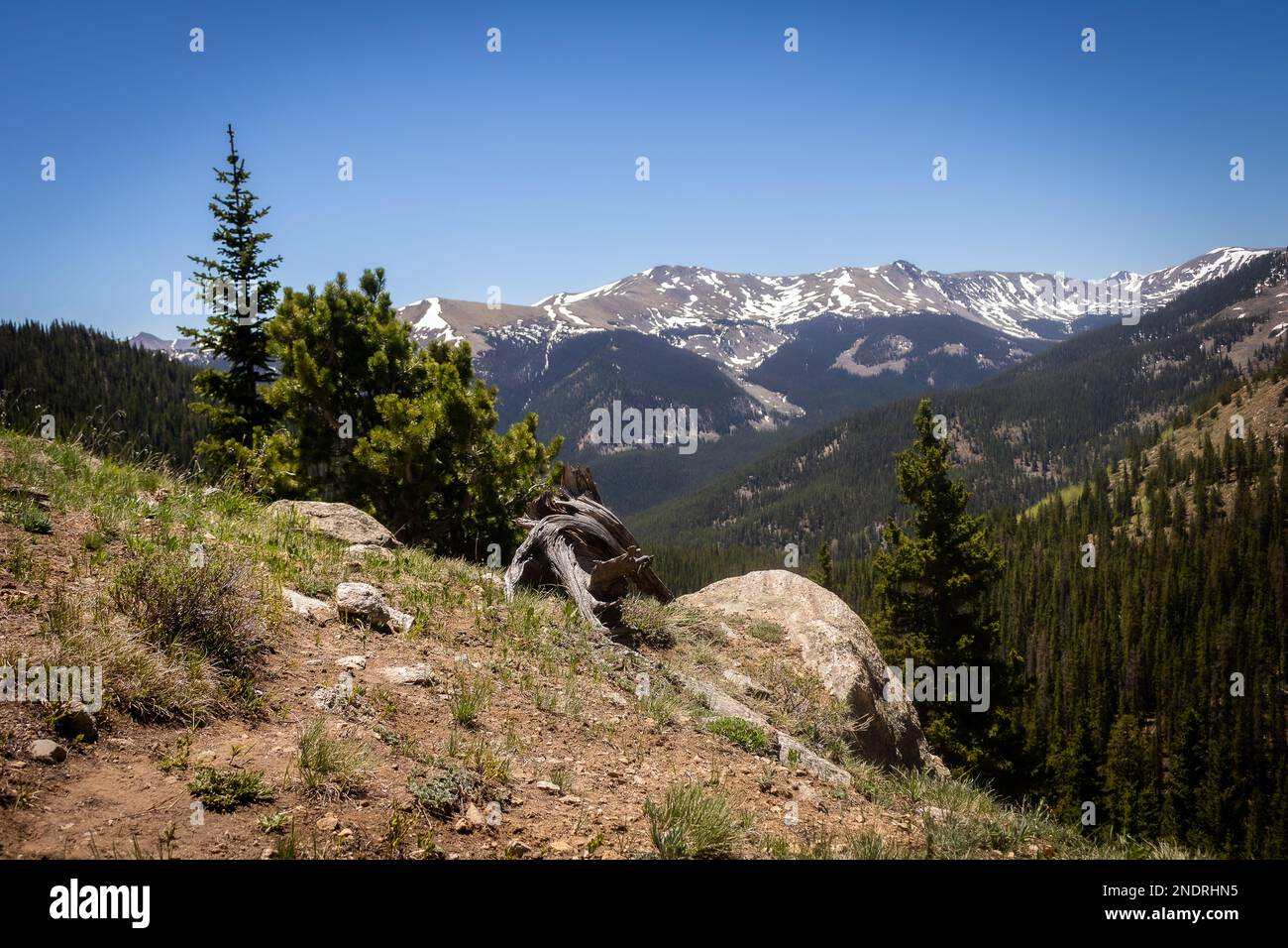 Picture from a hike to above 14,000 feet in Colorado's Sawatch Range ...