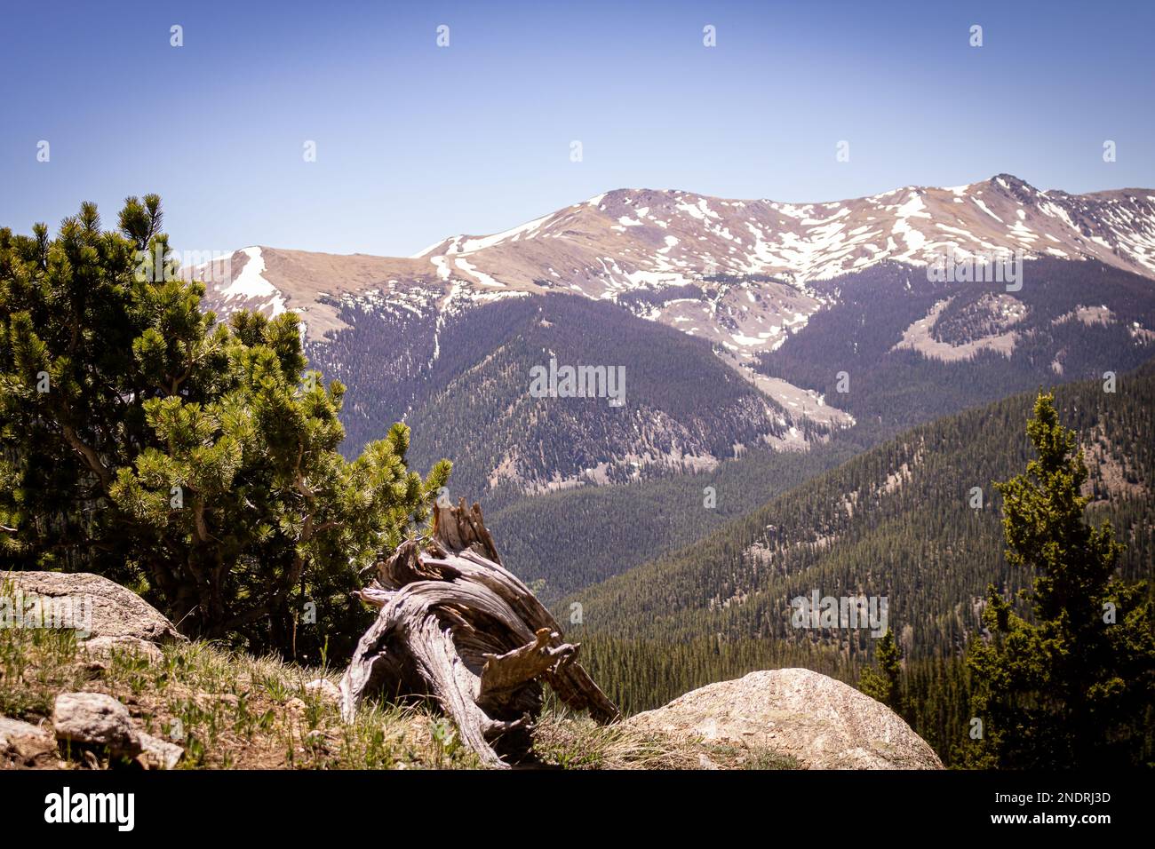 Picture from a hike to above 14,000 feet in Colorado's Sawatch Range ...