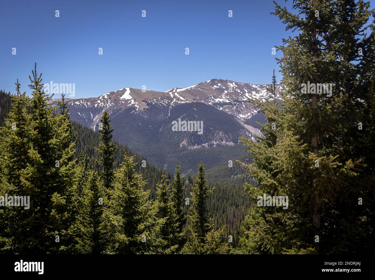 Picture from a hike to above 14,000 feet in Colorado's Sawatch Range ...