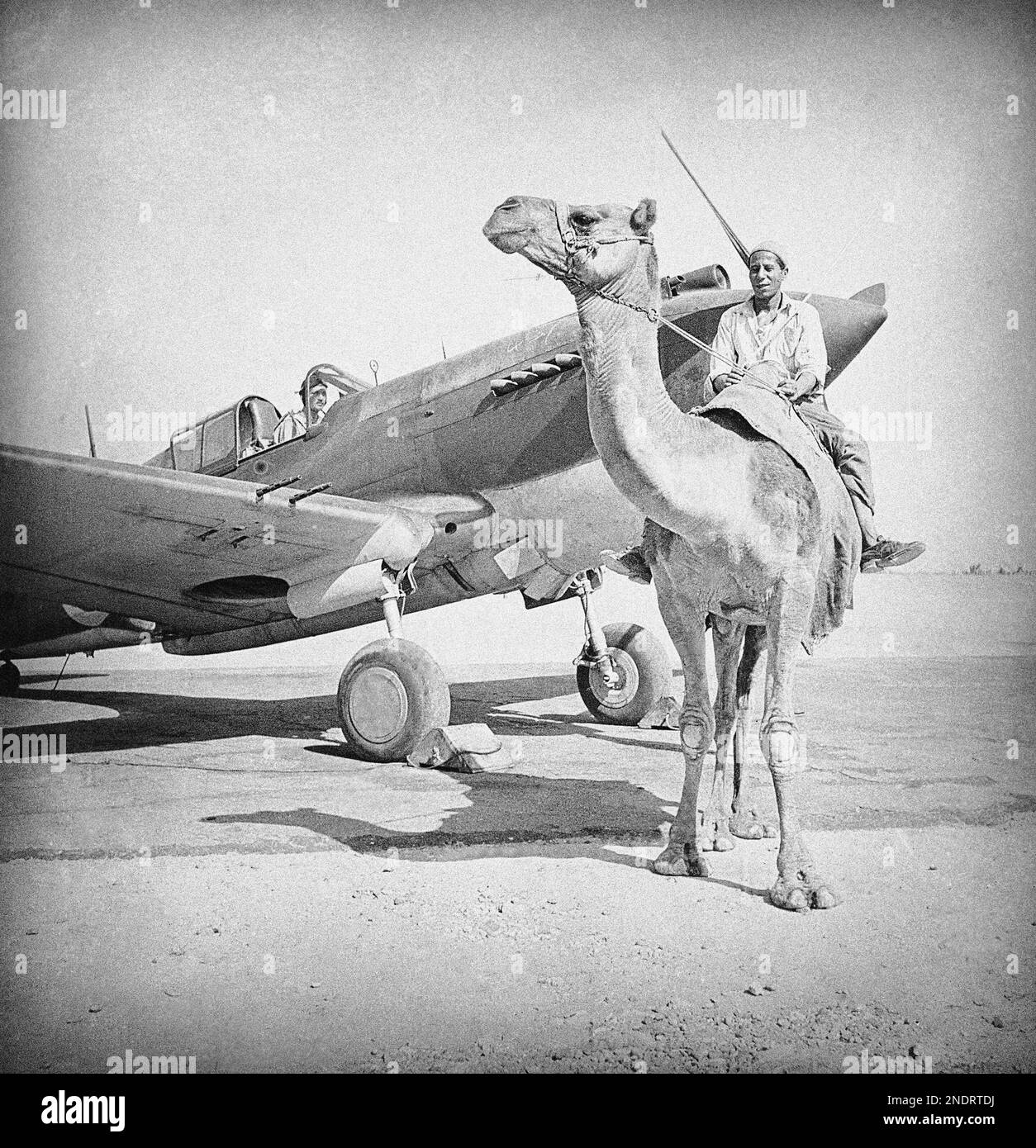 A Tomahawk fighter plane, one of the newest types of American-made ...