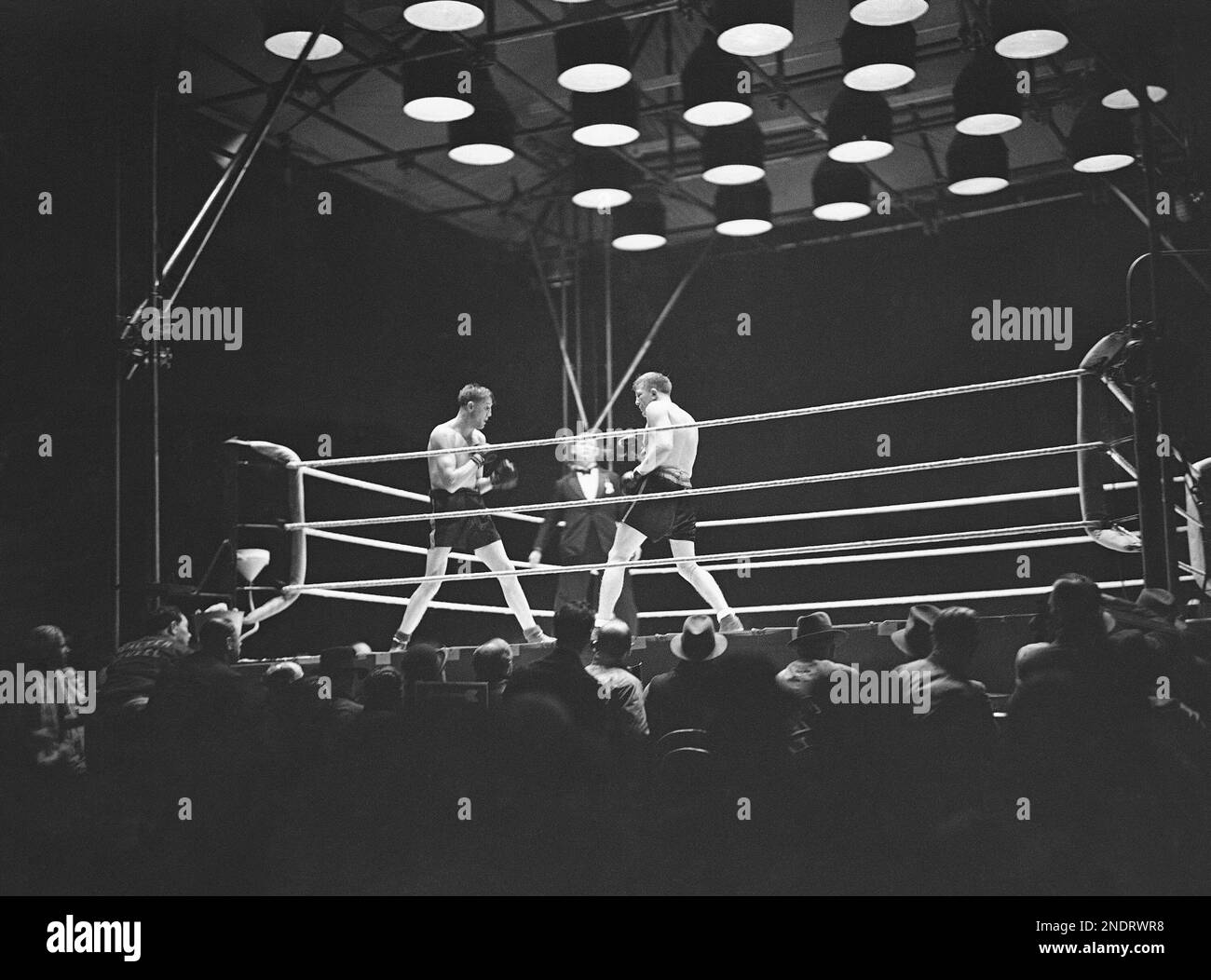 British boxer Jack Peterson and Germany's Walter Neusel sparring during ...