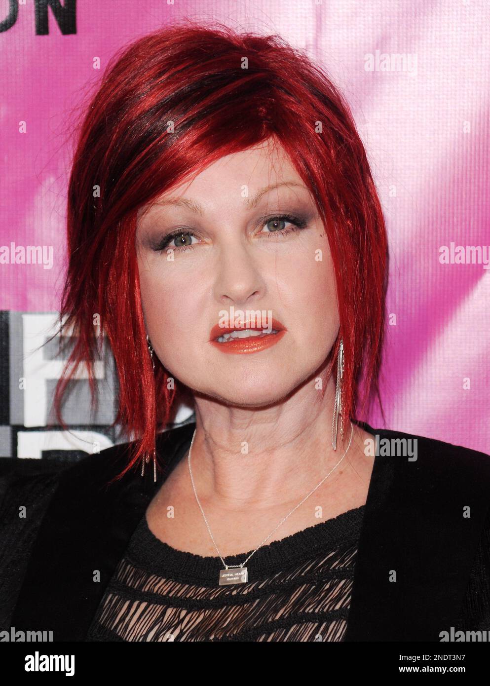 Singer Cyndi Lauper attends the Joyful Heart Foundation Gala ...