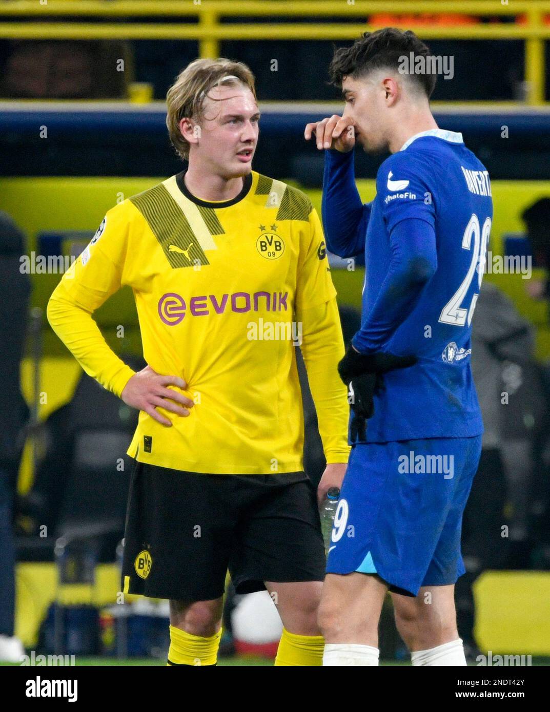 Signal Iduna Park Dortmund Germany, 15.2.2023, Football:: UEFA ...