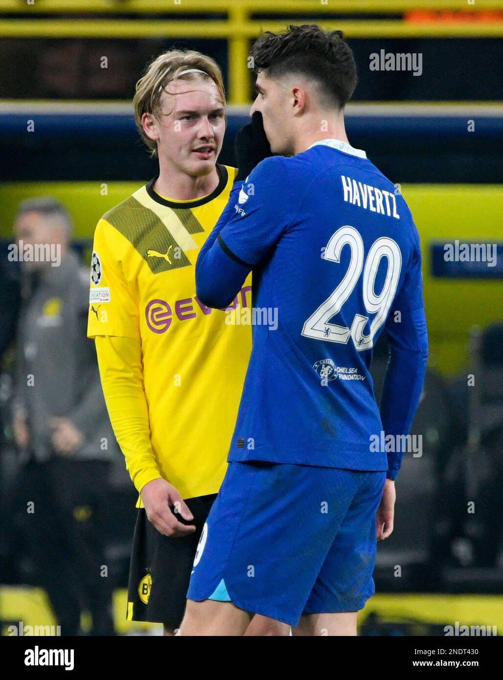 Signal Iduna Park Dortmund Germany, 15.2.2023, Football:: UEFA ...