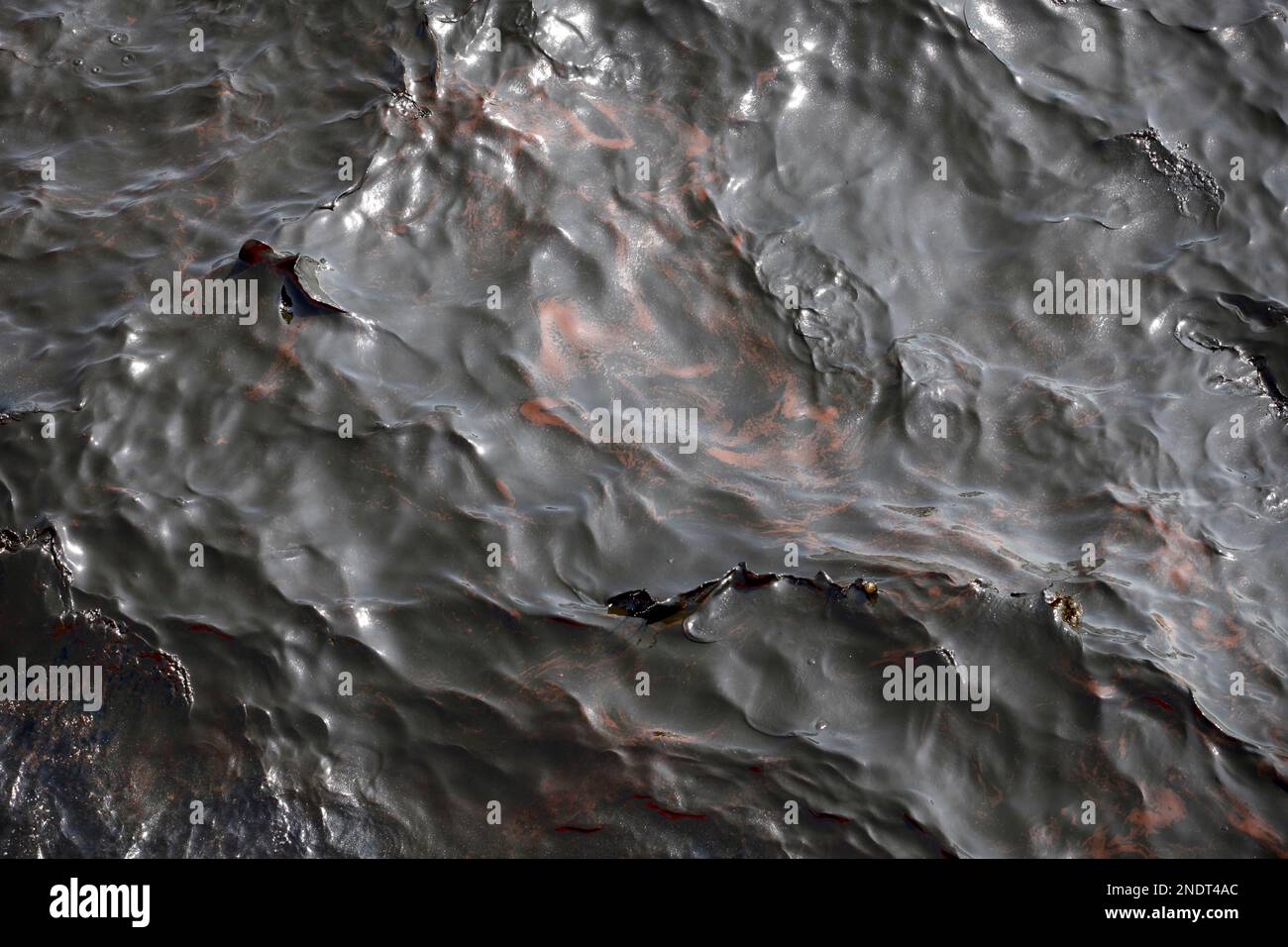 Thick black oil is seen off the side of the supply vessel Joe Griffin ...