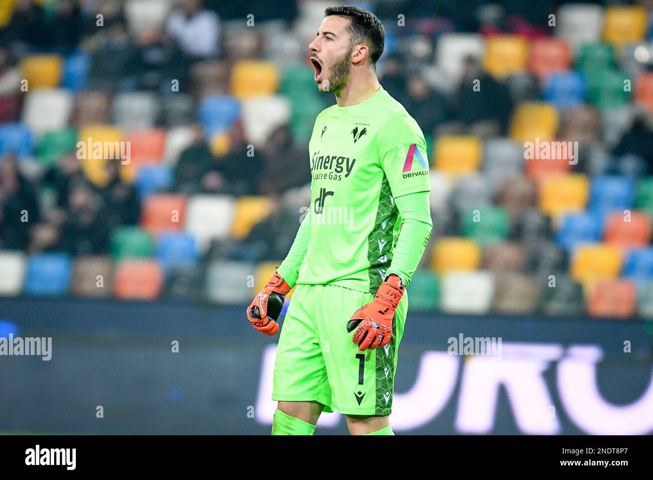 Hellas verona portraits archive hi-res stock photography and images - Alamy