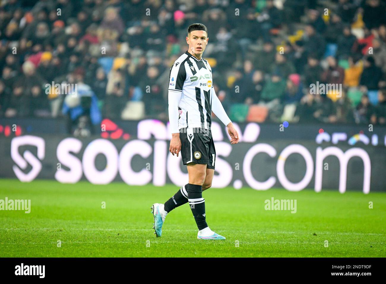 Hellas verona portraits archive hi-res stock photography and images - Alamy