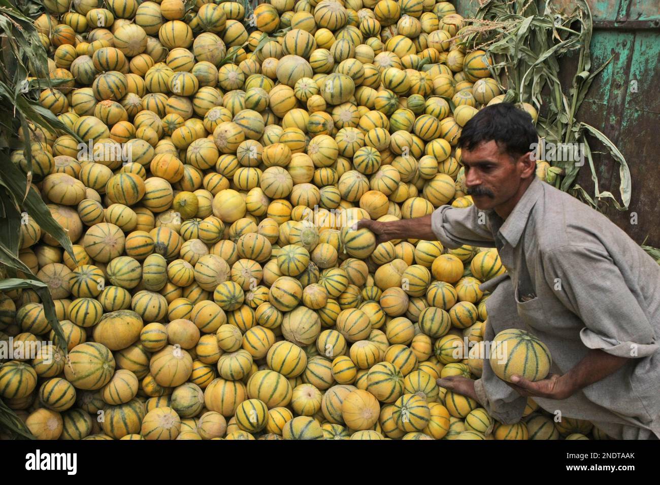 A Pakistani vender sells melons in Lahore, Pakistan on Friday, May 7 ...