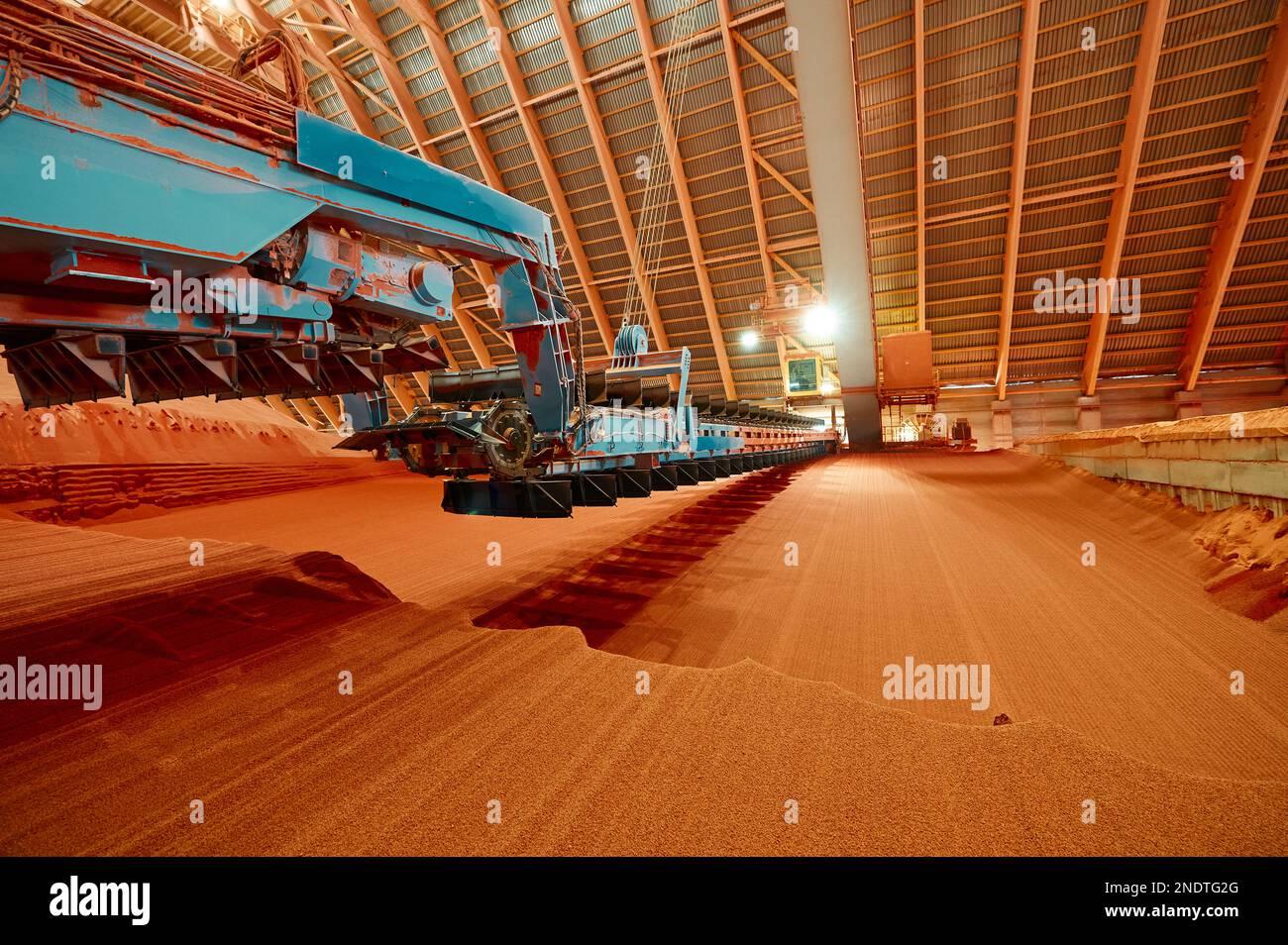 Automatic scraper conveyor potassium mineral fertilizers Stock Photo ...