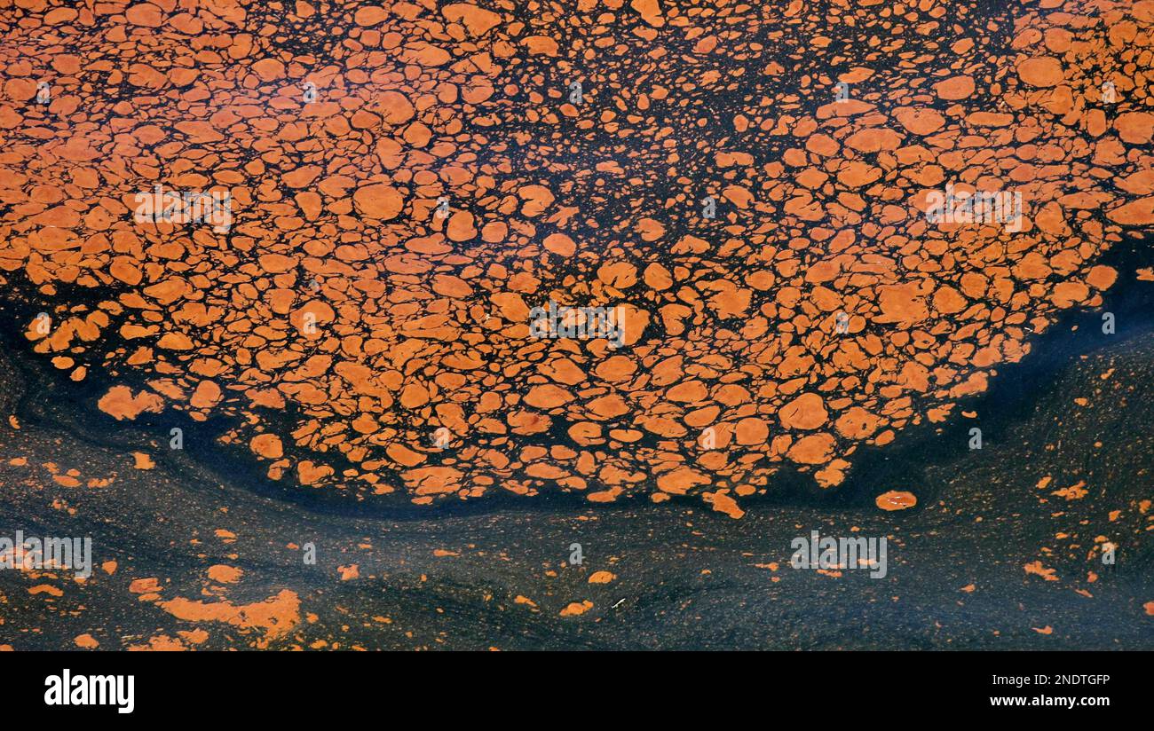 Oil and oil sheen are seen in the waters of Chandeleur Sound, La ...