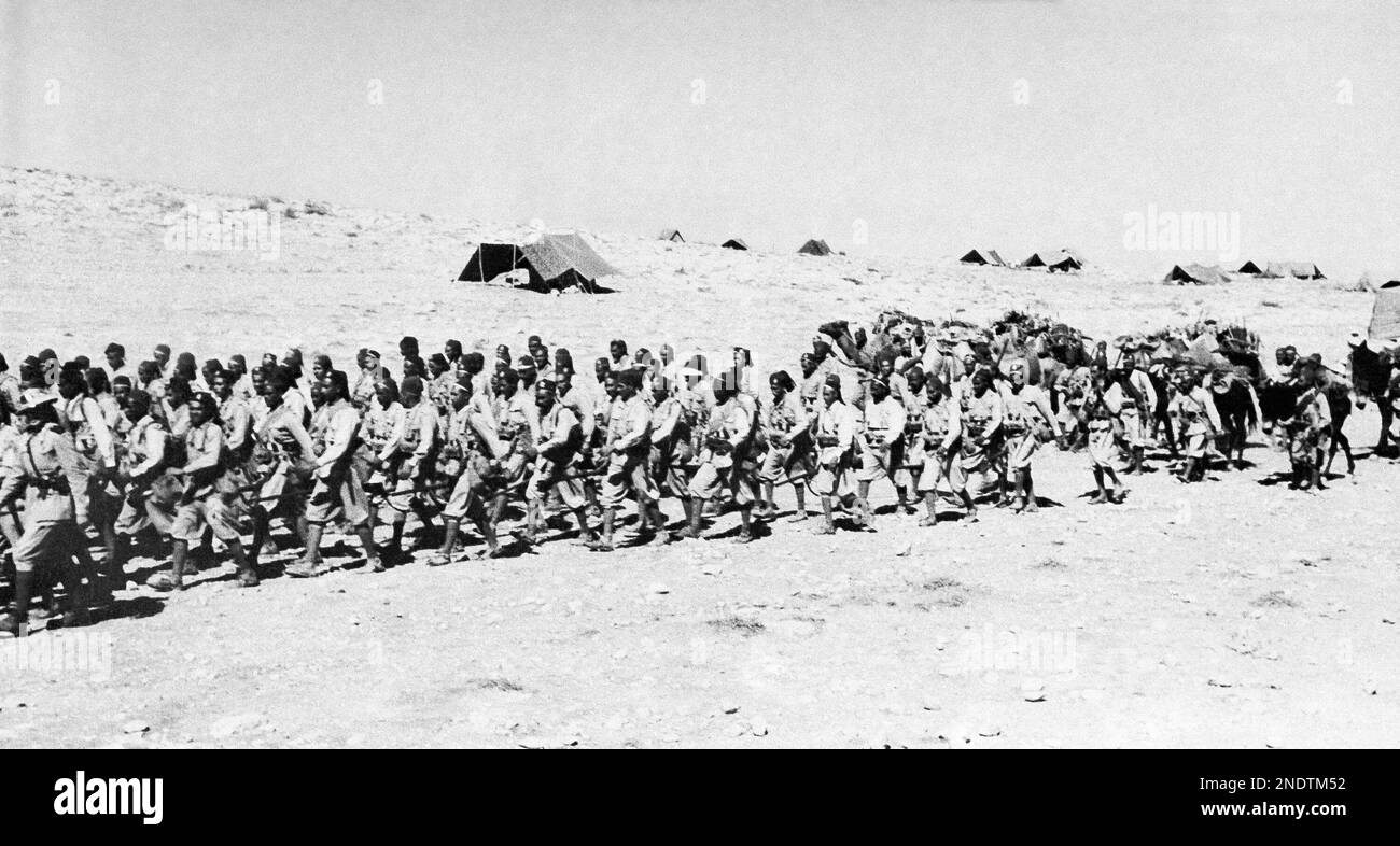 The African campaigns of Italy, described by Italian sources as scenes ...