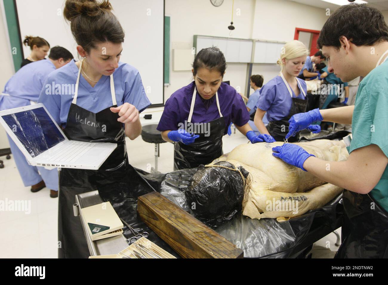 Gross Medical Pictures