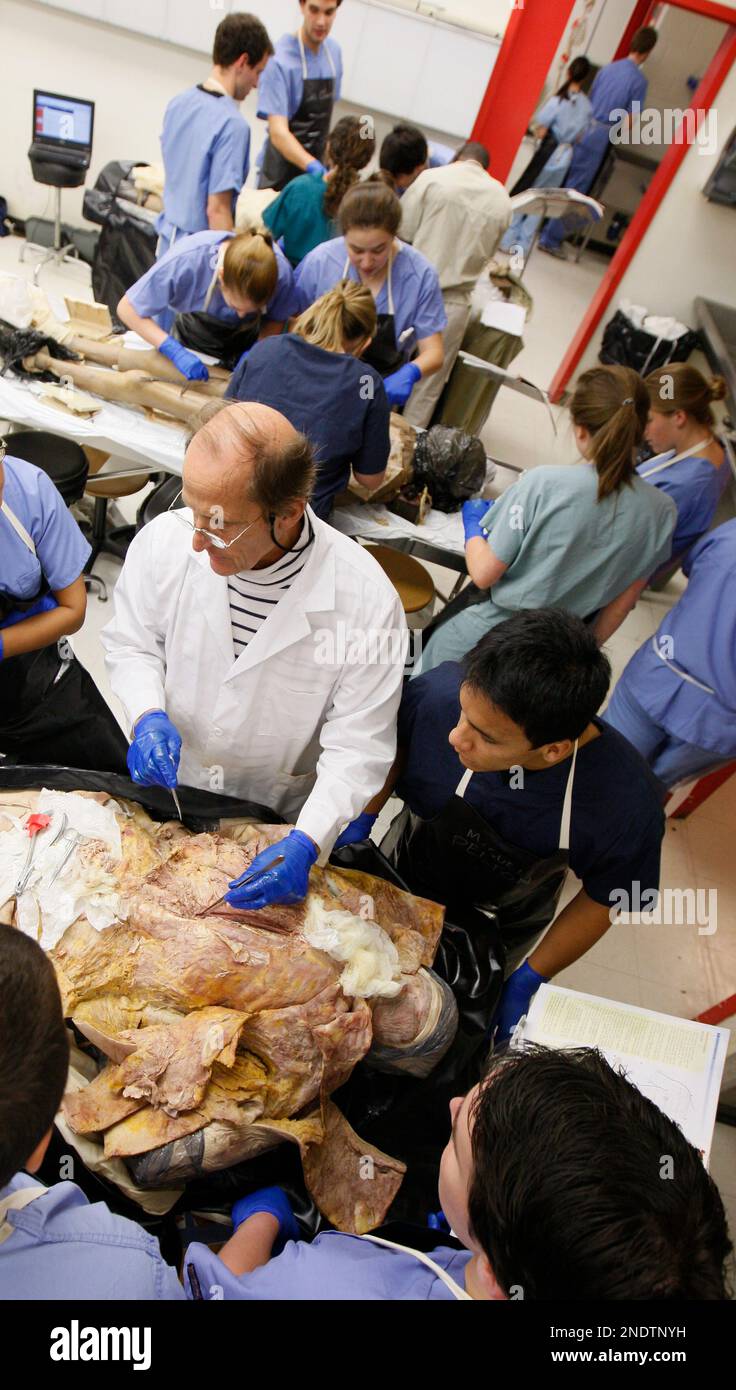 First year medical students dissect a cadaver at a gross anatomy lab at ...