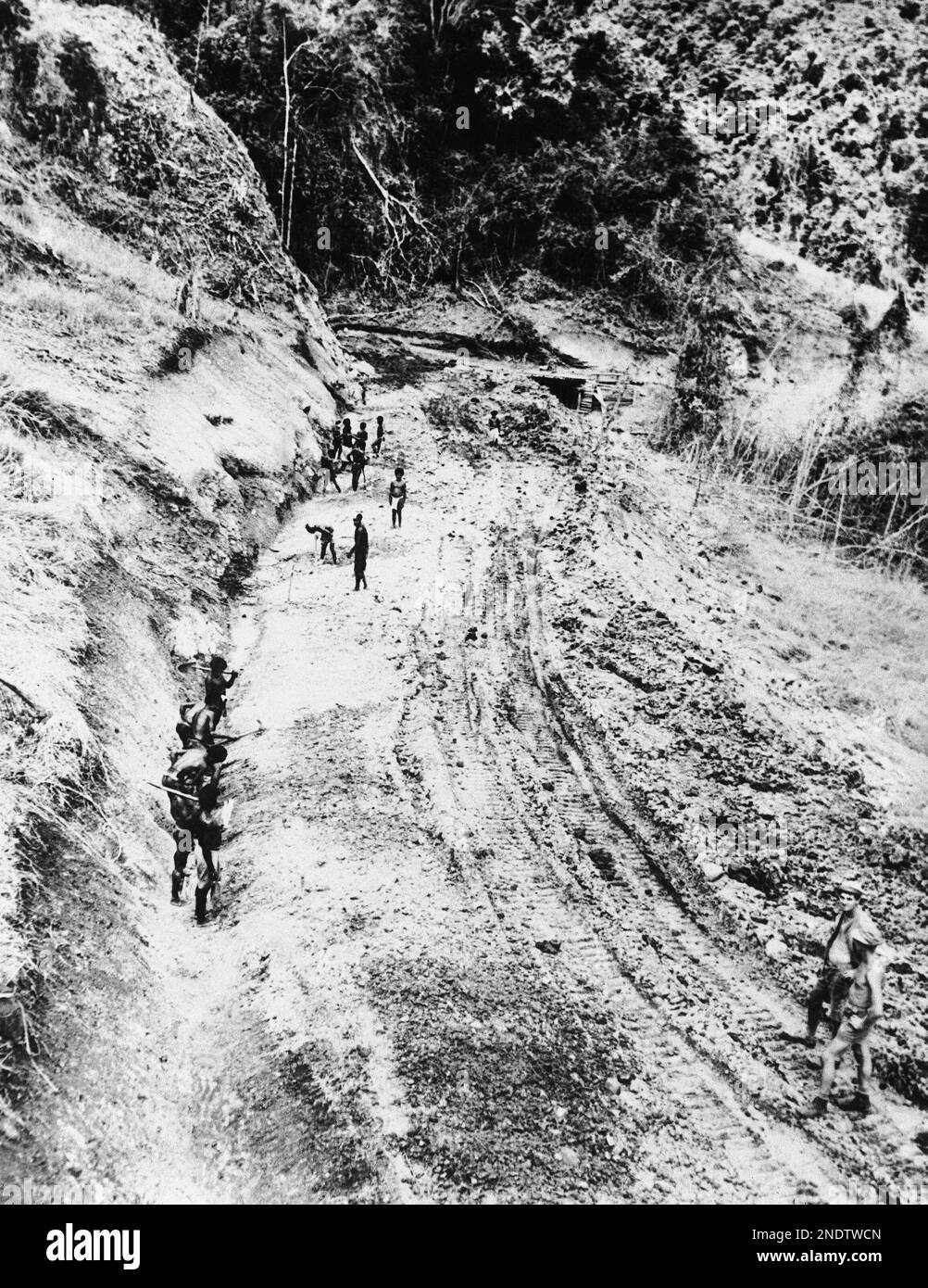 U.S Army engineers build roads through New Guinea jungle and swamp ...