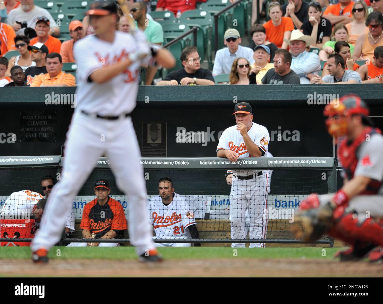 Baltimore Orioles manager Dave Trembley watches from the dugout against ...