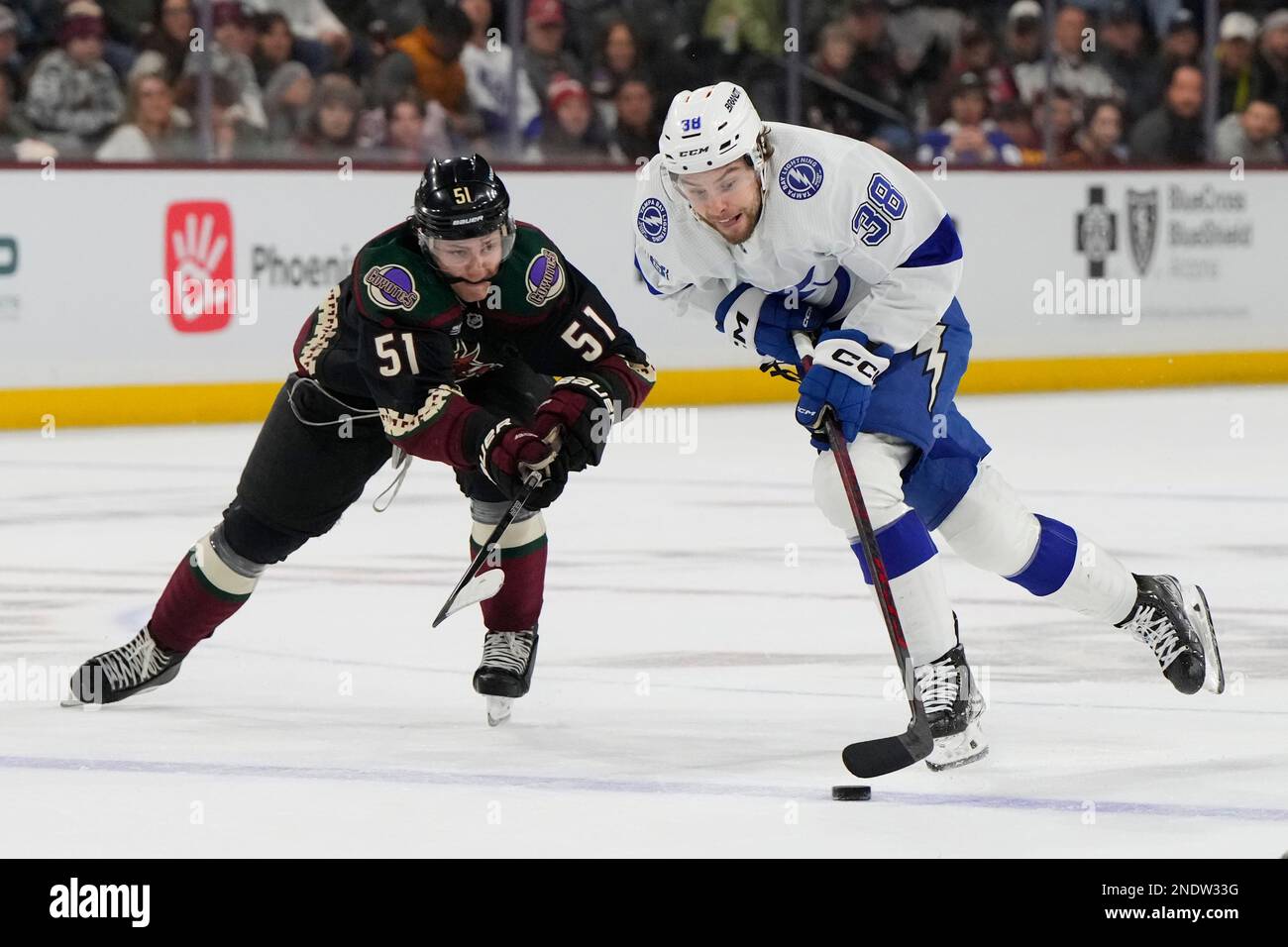 Tampa Bay Lightning left wing Brandon Hagel (38) carries the puck next ...