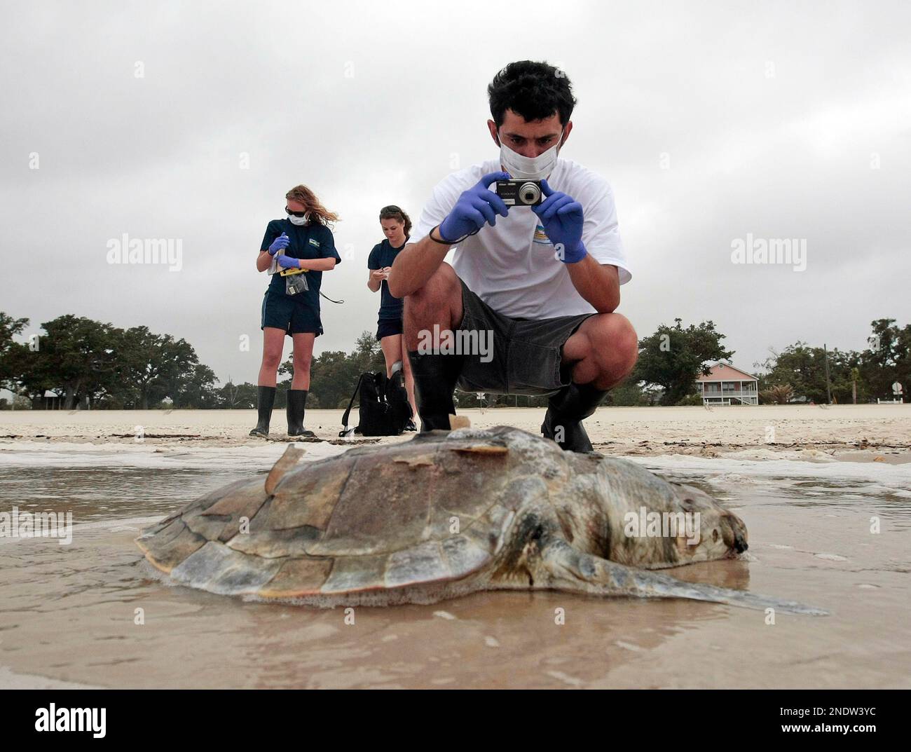 Institute of Marine Mammal Sciences researcher Justin Main takes ...