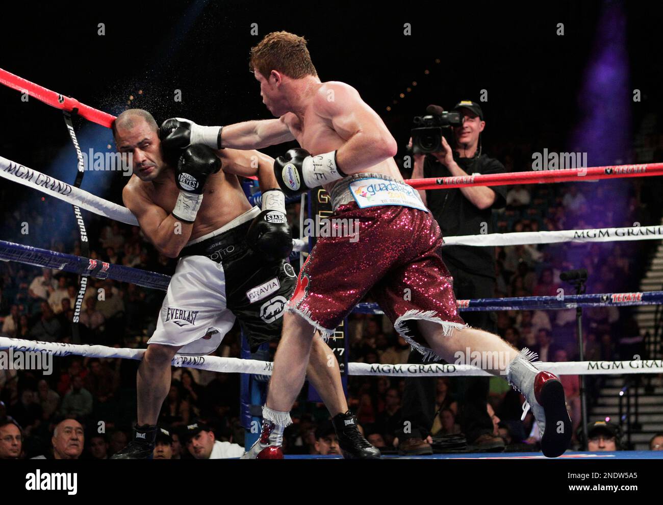 Jose Miguel Cotto Vs Canelo Alvarez