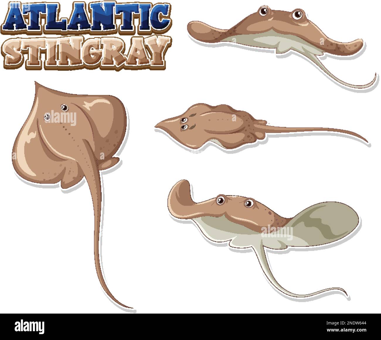 Atlantic stingray cartoon character set illustration Stock Vector Image ...