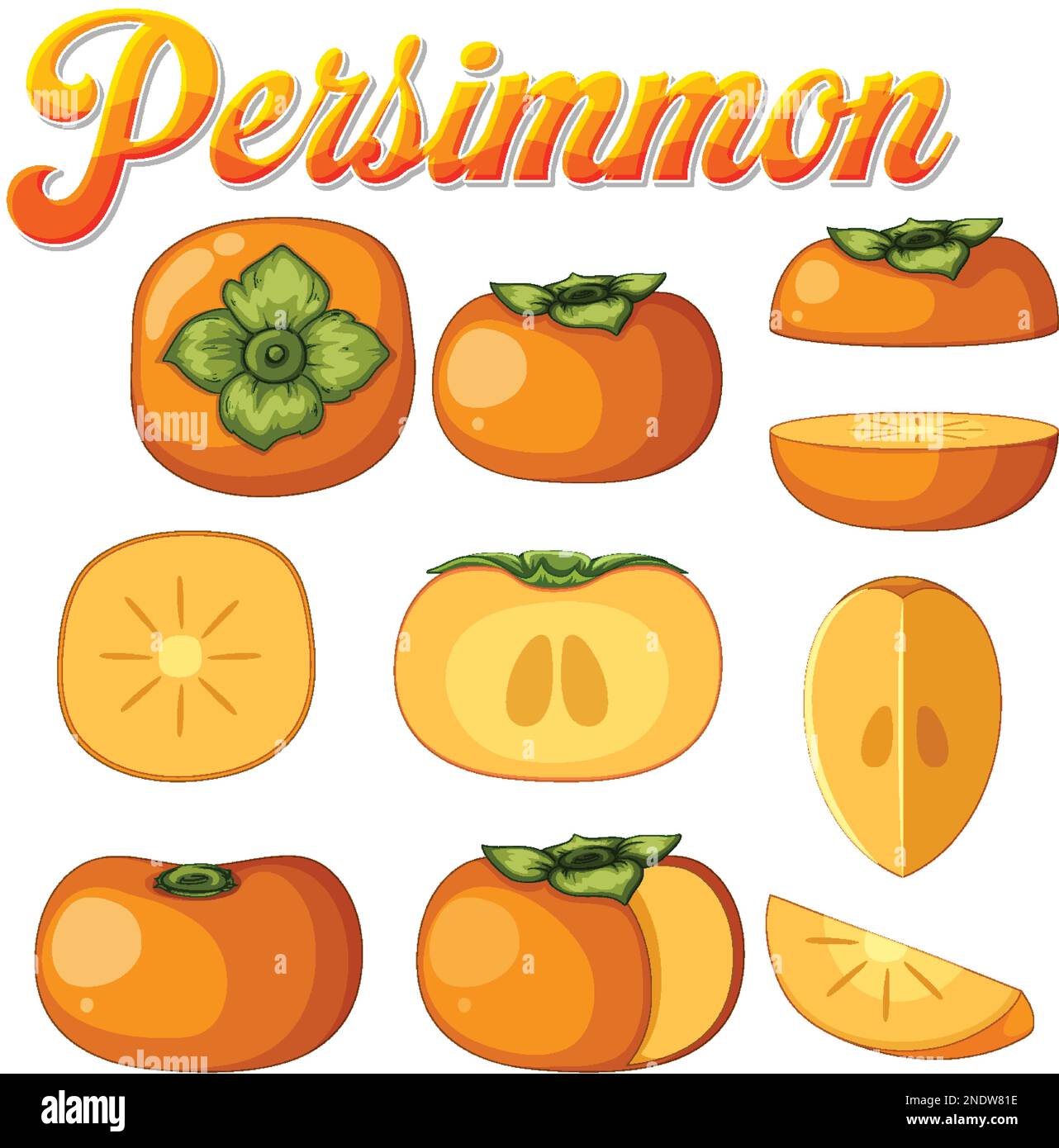 Set of persimmon fruit illustration Stock Vector Image & Art - Alamy