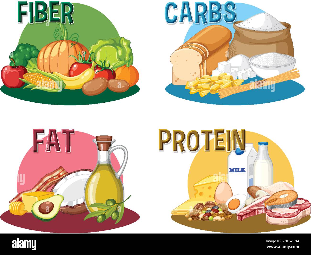 Protein food groups Stock Vector Images - Alamy