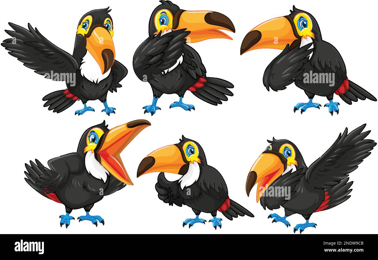 Toucan birds cartoon characters illustration Stock Vector Image & Art ...