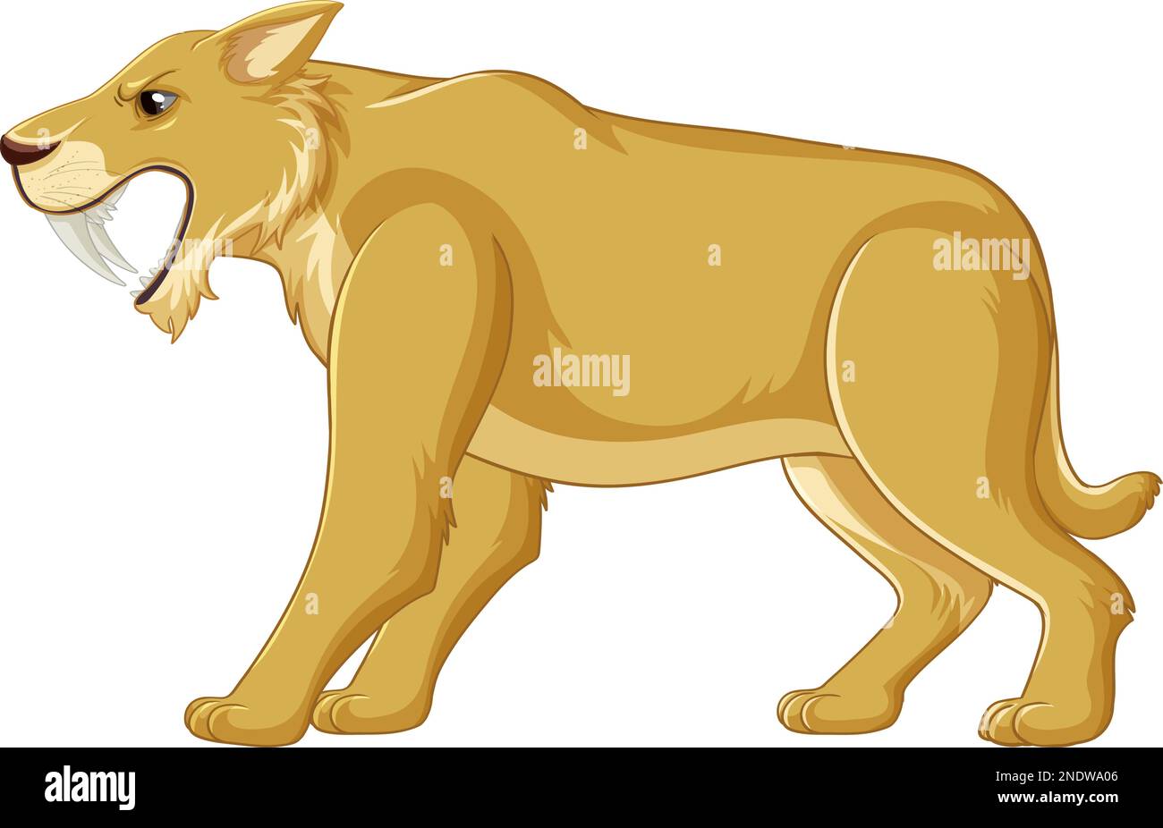 Saber Toothed cat vector illustration Stock Vector Image & Art - Alamy