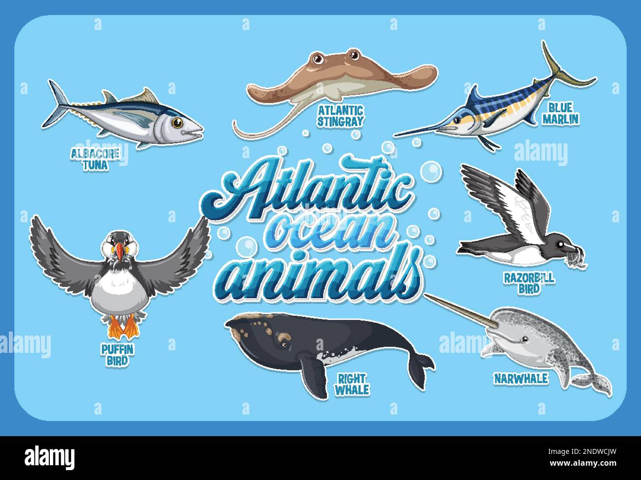 Set of Animals in the Atlantic Ocean illustration Stock Vector Image ...