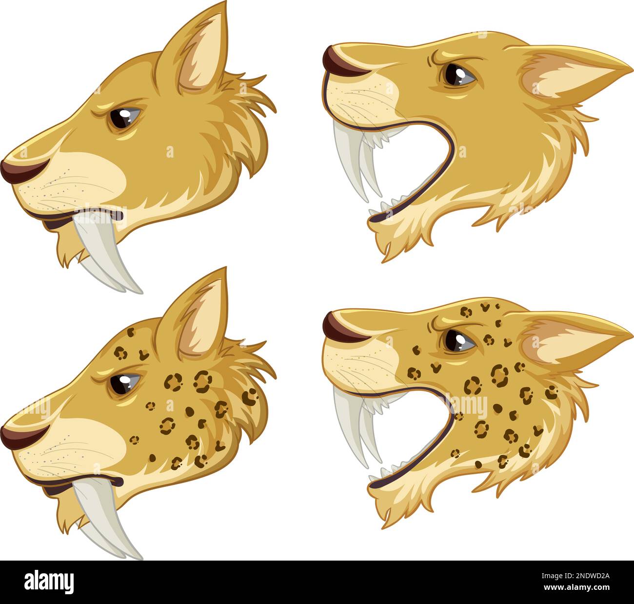 Saber Toothed cat vector illustration Stock Vector Image & Art - Alamy