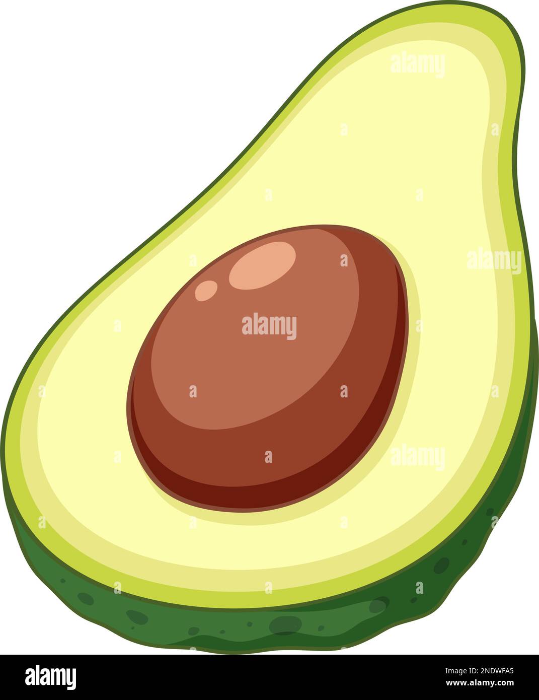 Isolated avocado cartoon cut in half illustration Stock Vector Image ...