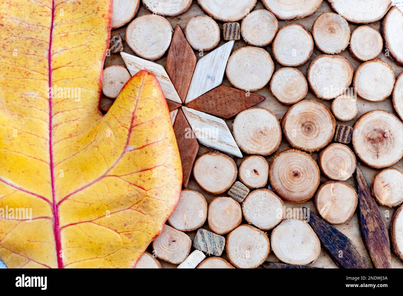 Round shaped leaf hi-res stock photography and images - Alamy