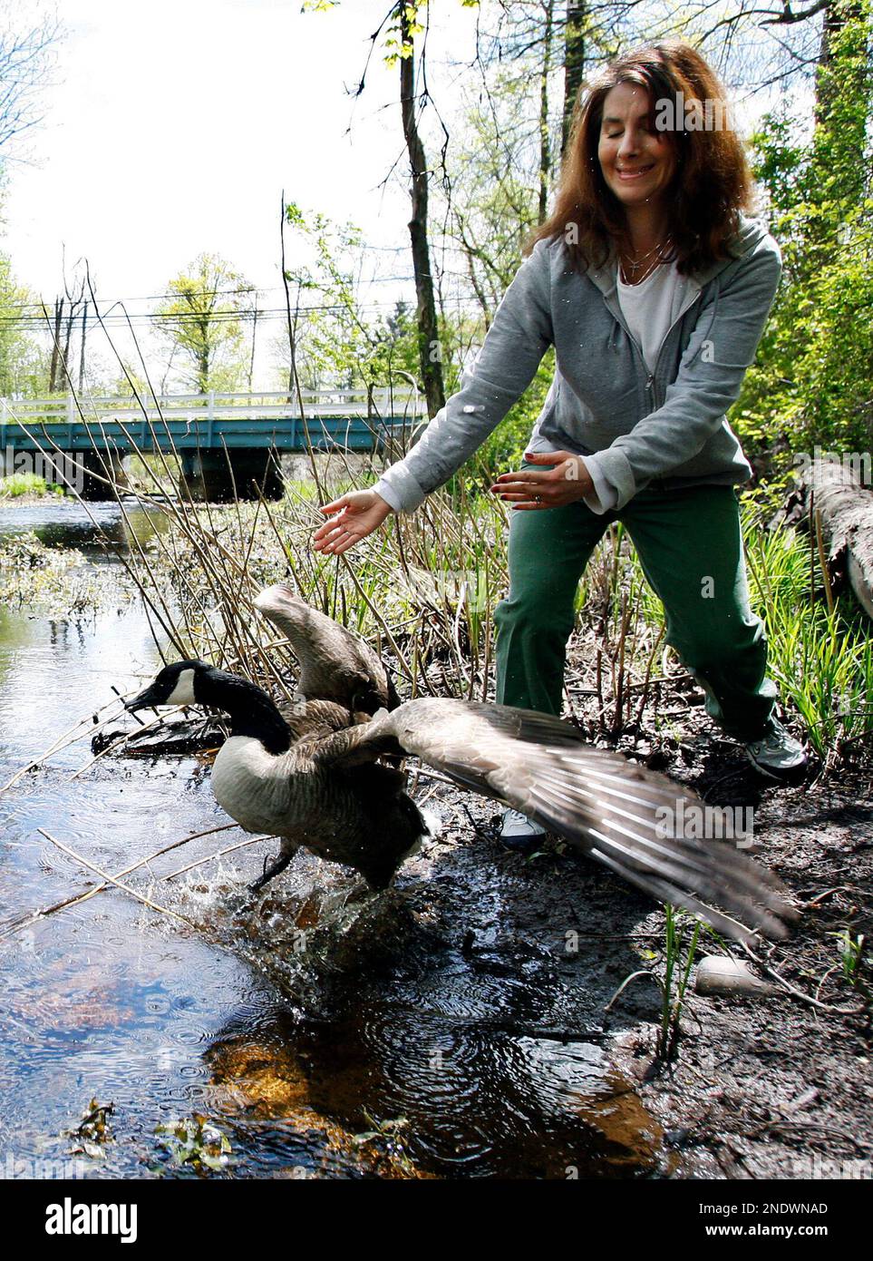 In this April 19, 2010 photo, Raptor Trust worker Kristi Ward releases ...