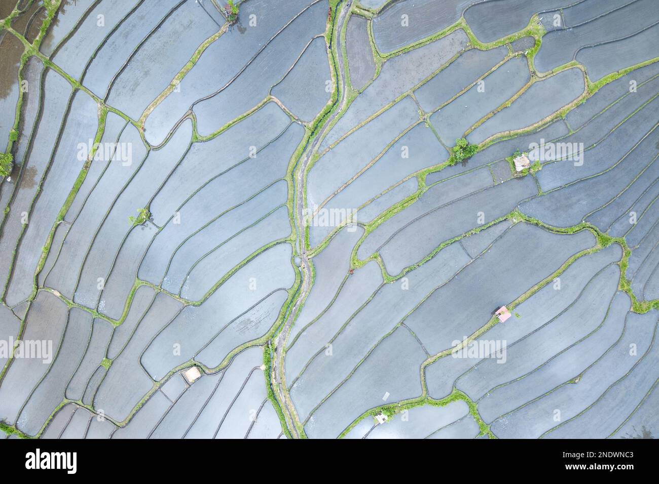 Drone aerial photograph of rice fields in Karangasem Regency, Bali ...