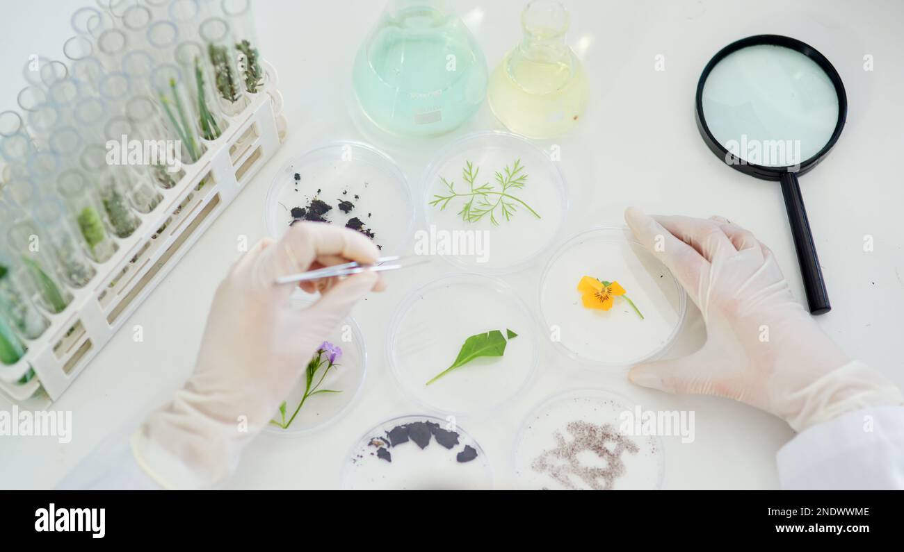 Deconstructing every bit of matter. High angle shot of an ...