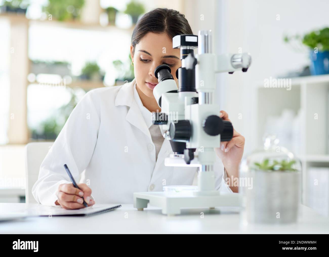 Capturing some interesting info off the sample analysed. a young ...