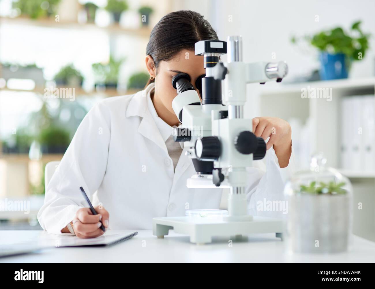 Doing a detailed analysis. a young scientist writing notes while using ...