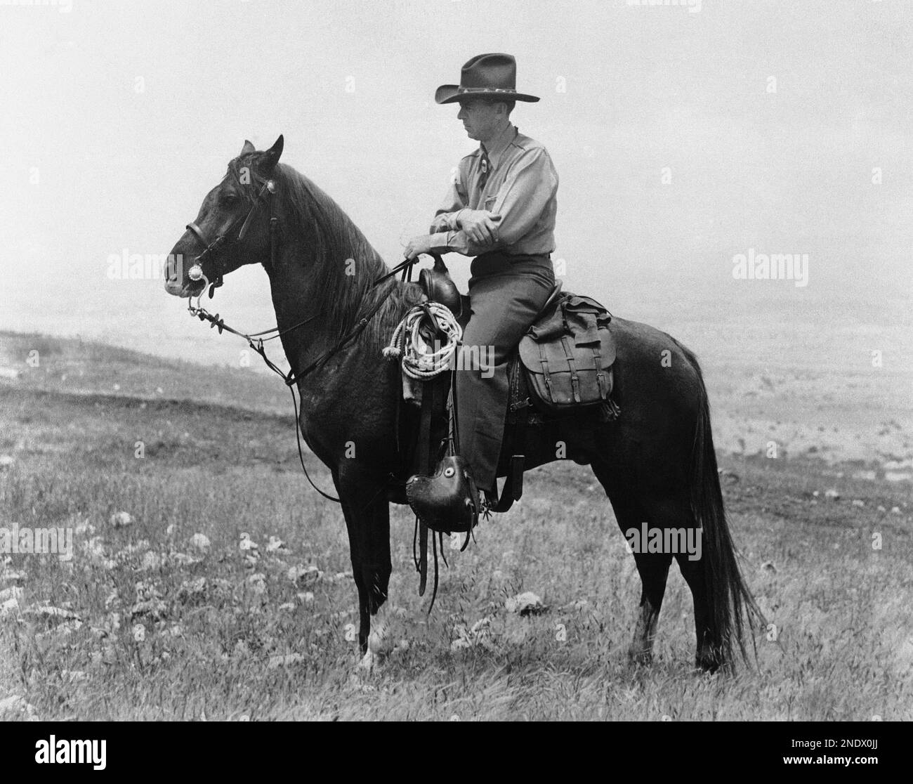 Philip Knight Wrigley, President of Chicago Cubs and President of ...