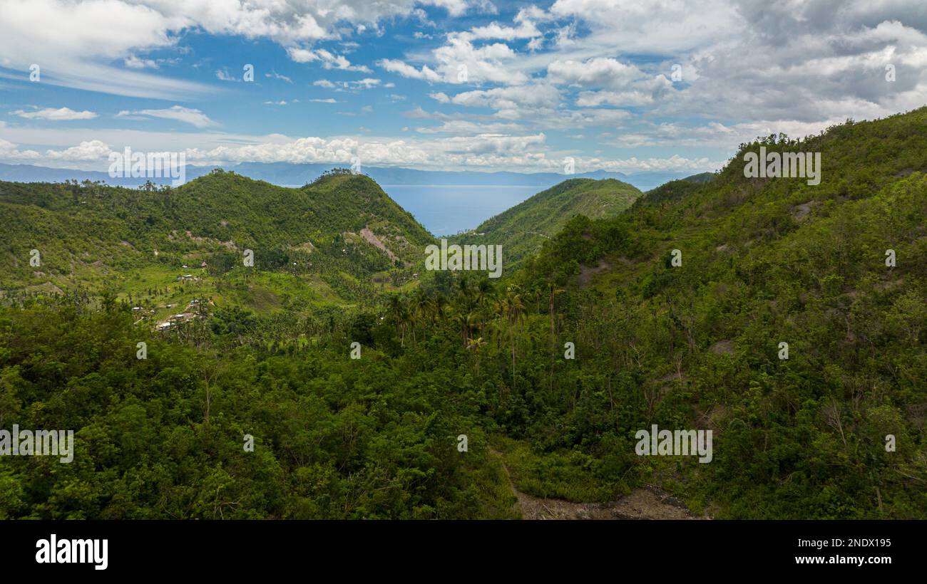 Aerial view of the jungle and rainforest to the sea. Cebu, Philippines ...