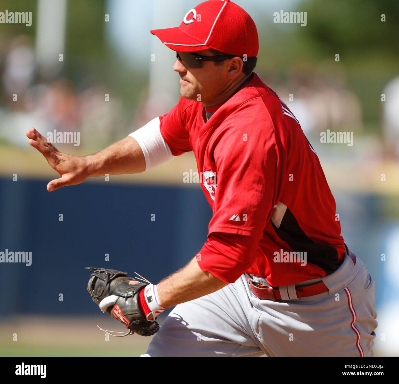 Cincinnati Reds first baseman Joey Votto during a spring training ...