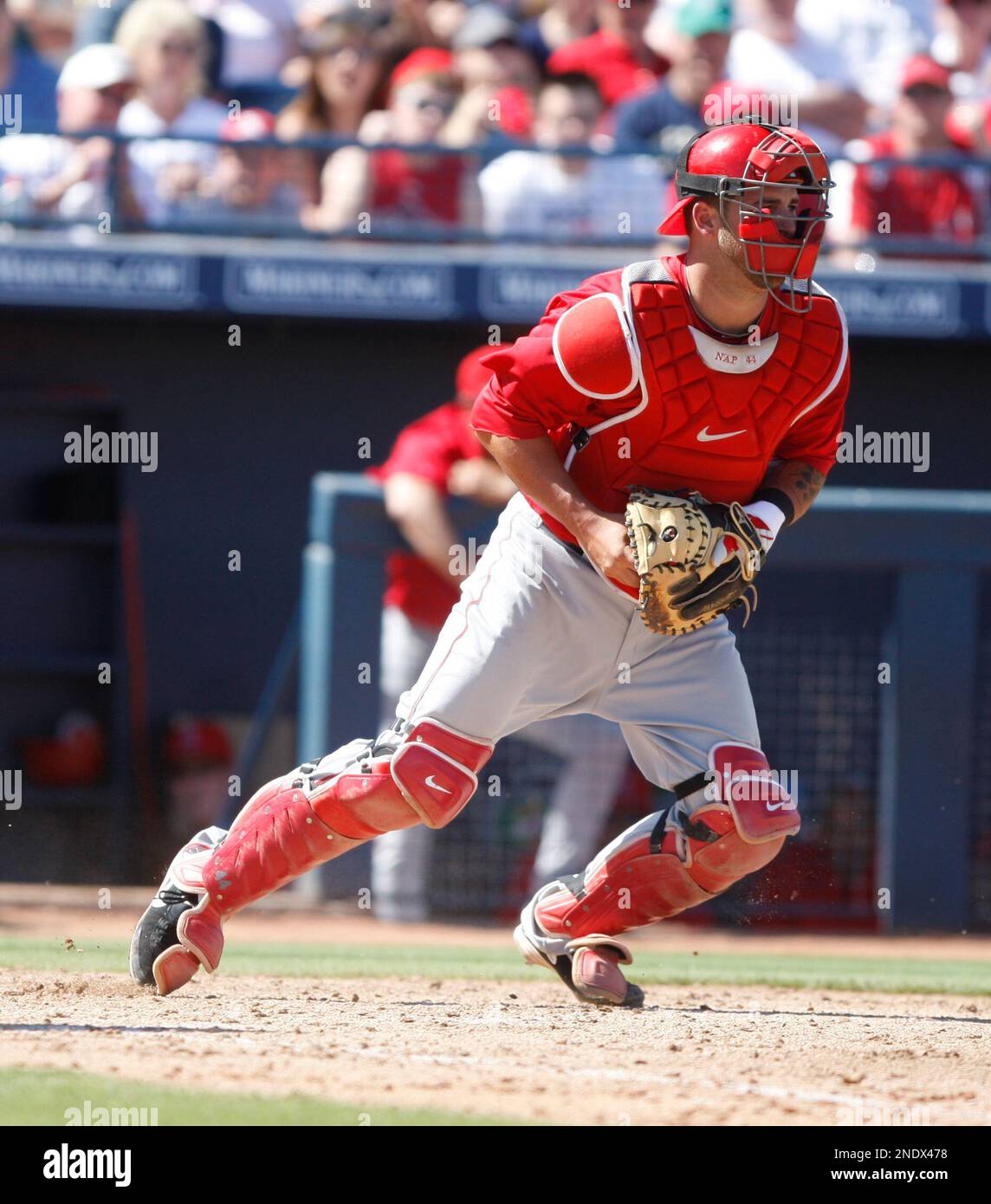 Los Angeles Angels catcher Mike Napoli during a spring training ...