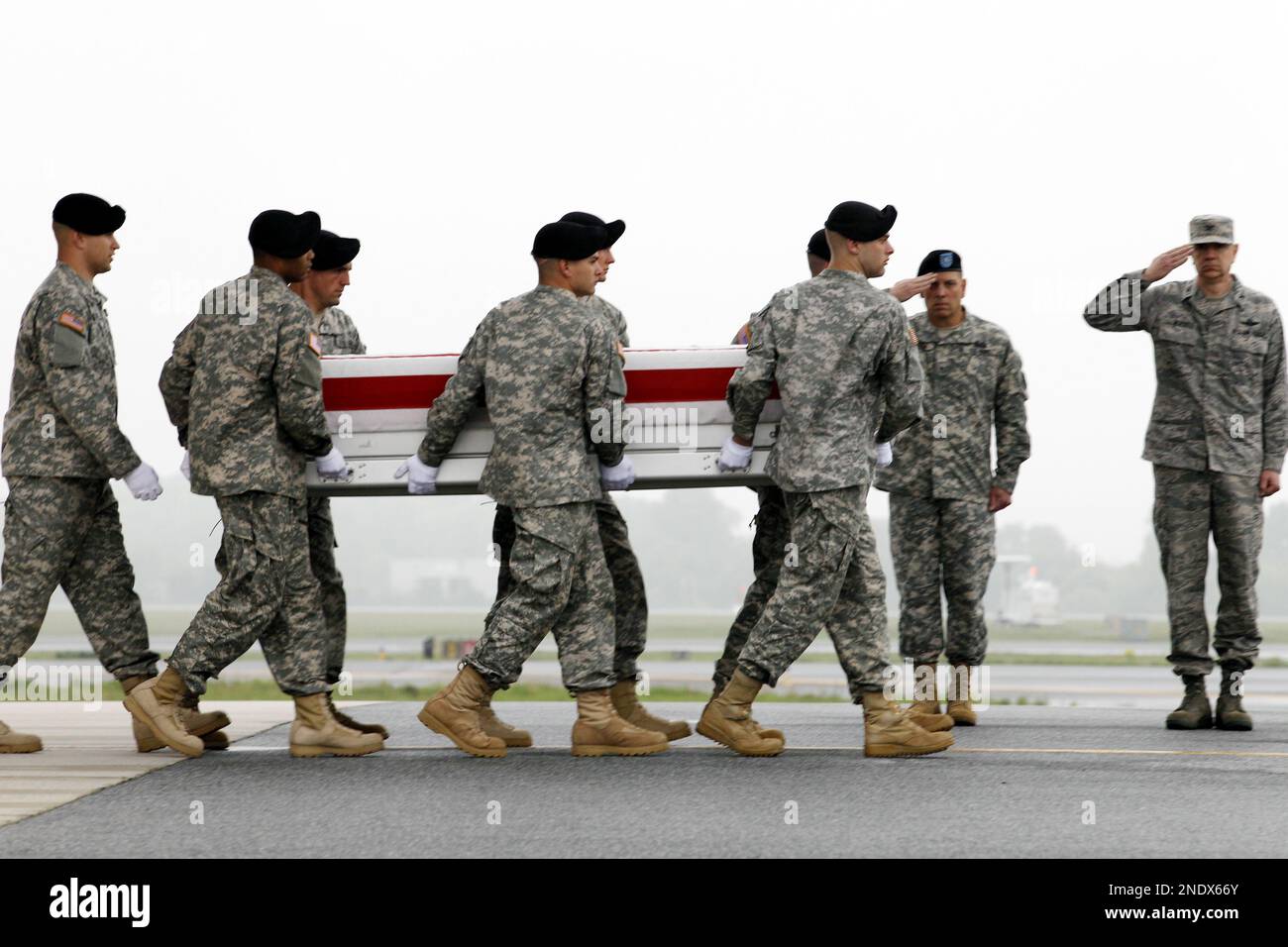 An Army carry team carries the transfer case containing the remains of ...