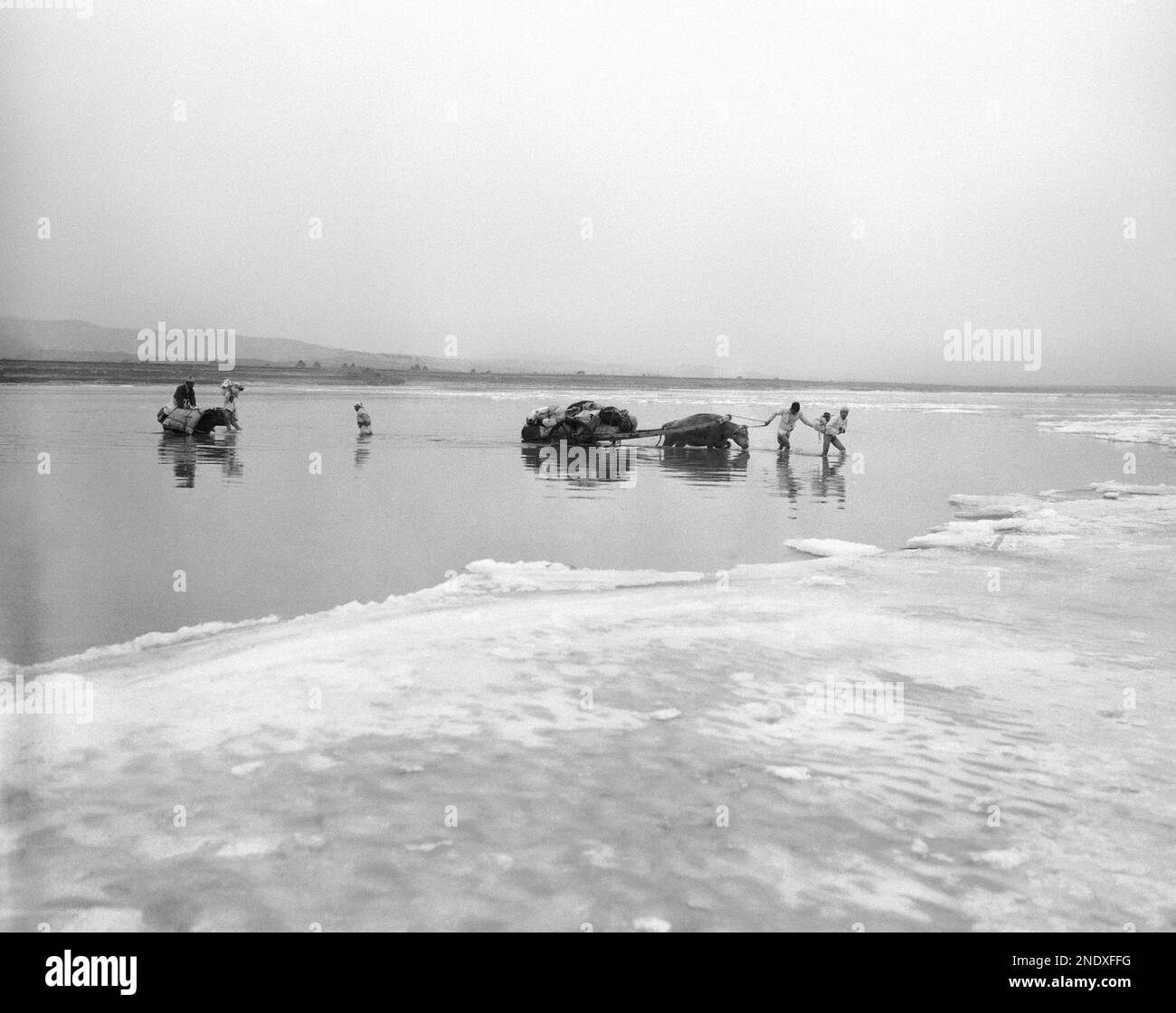 North Korean refugees ford the shallow, ice-choked Chongchon River near ...