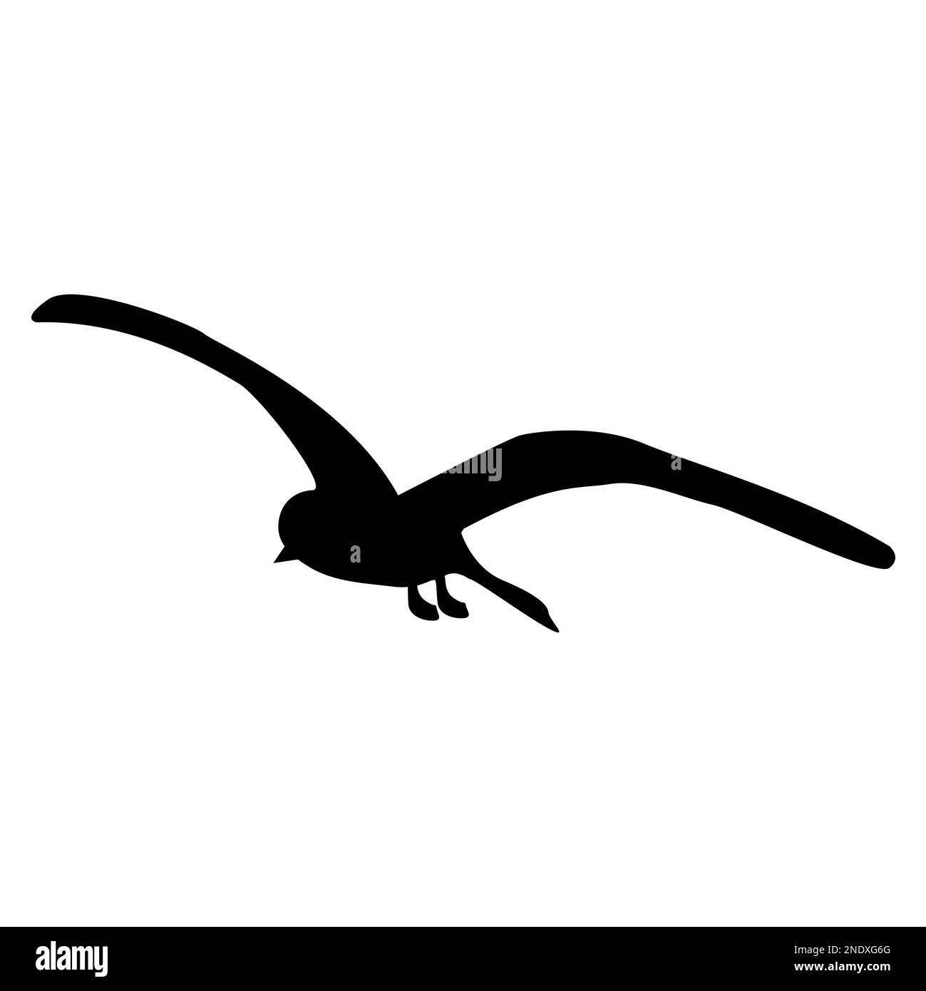 Silhouette of soaring seagull with spread wide curved wings isolated on ...