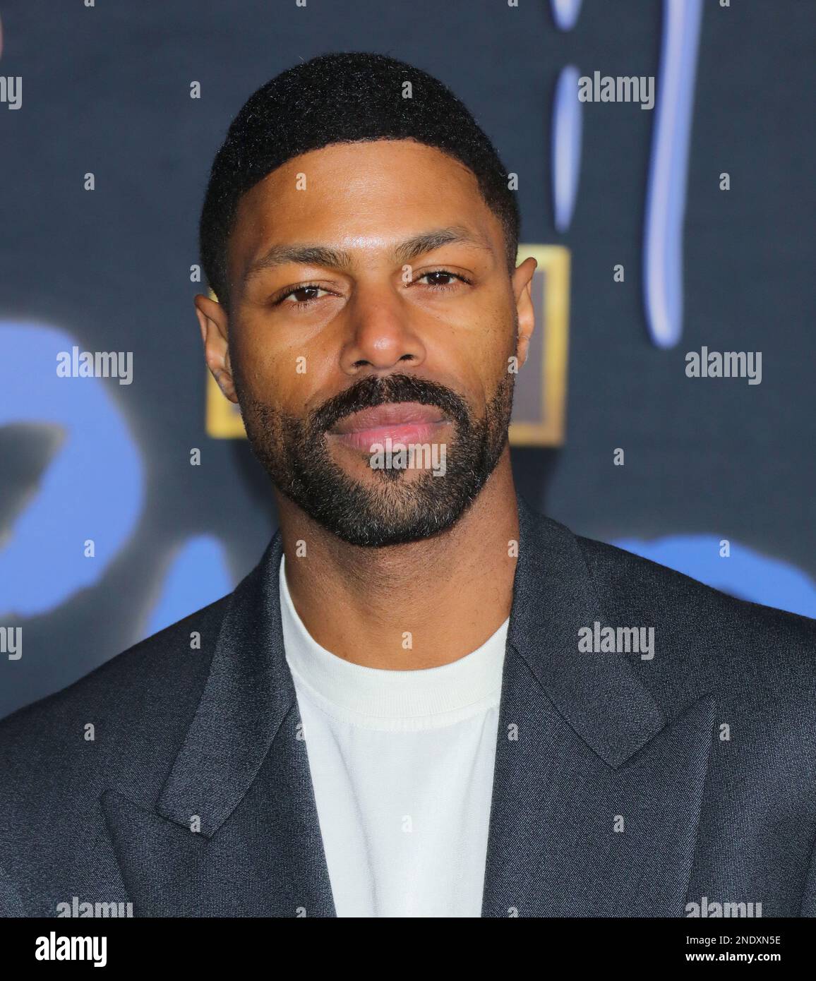 Devaughn Nixon arrives at The red carpet for the premiere of the sixth ...