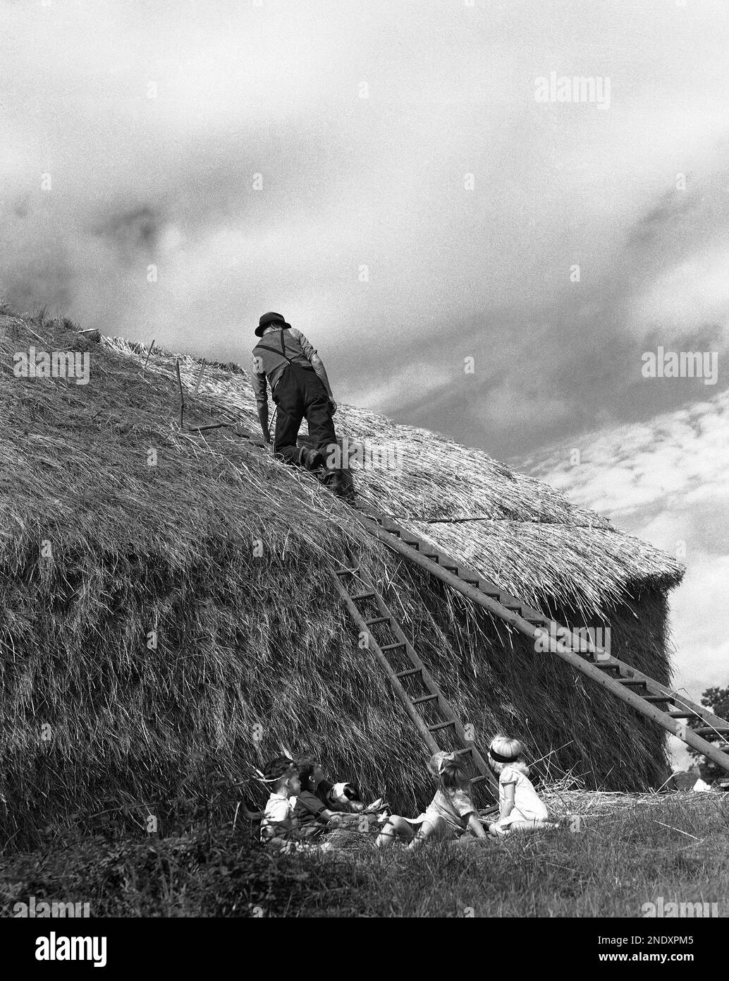 Children play in the lee of a haystack while a skilled thatcher ...