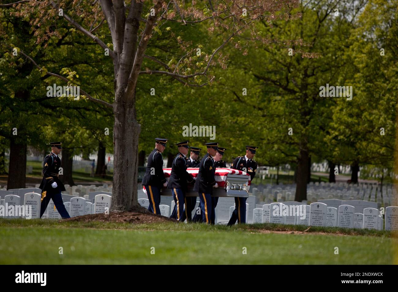 Members of the U.S. Army's Old Guard carry the casket of Army Corp ...