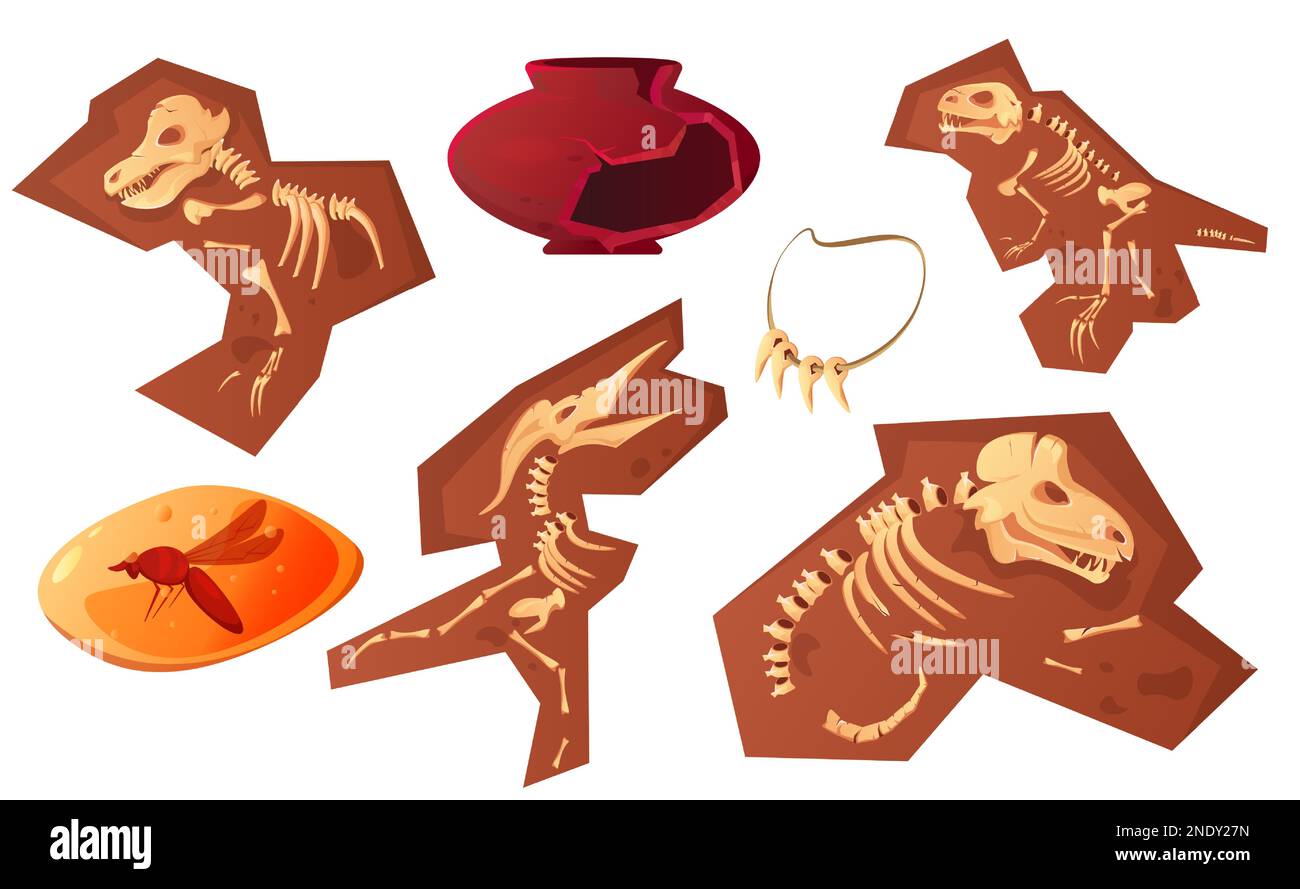 Prehistoric insect fossil Cut Out Stock Images & Pictures - Alamy