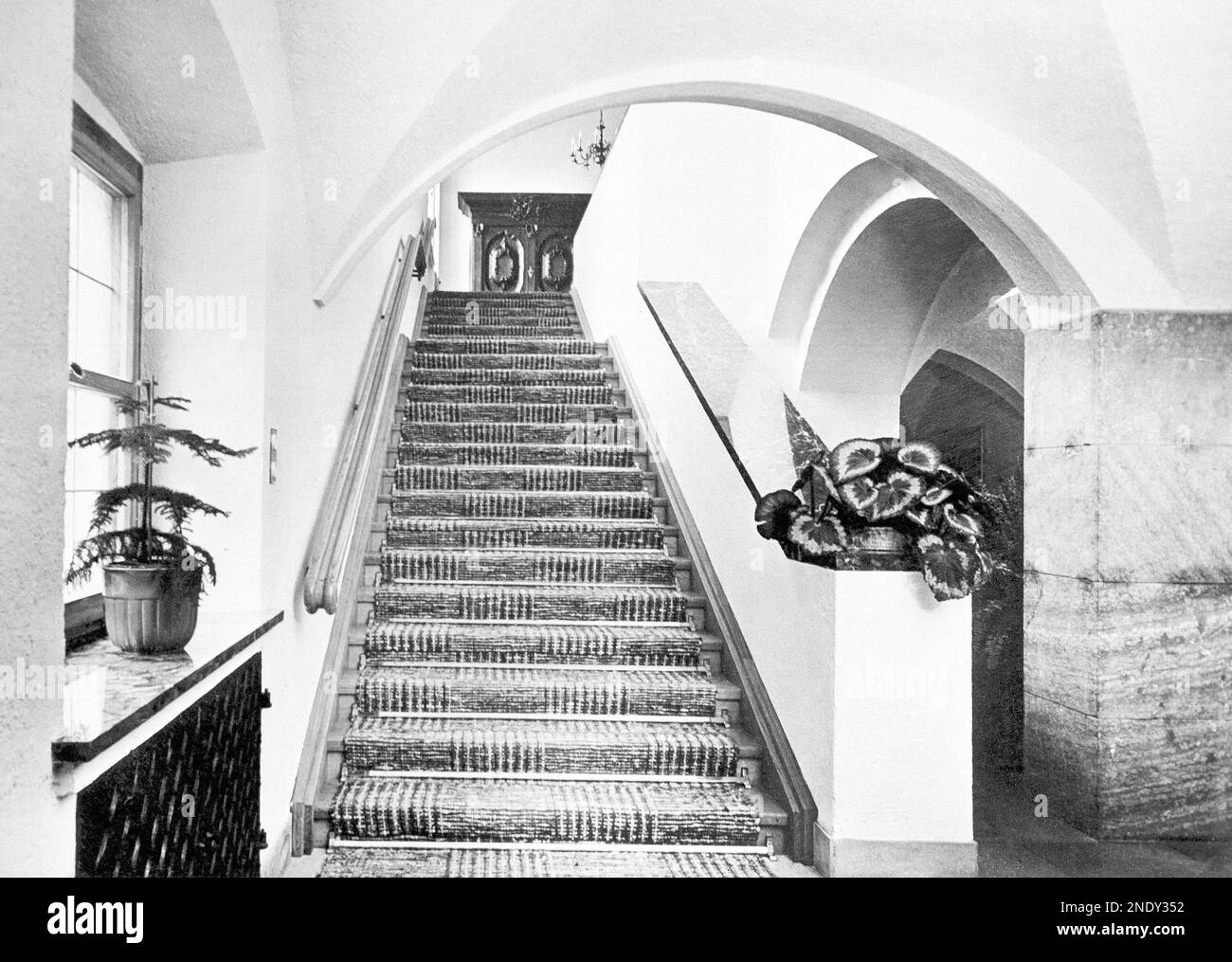 According to the German method of designation, this lushly carpeted ...